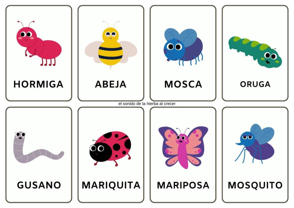 Tarjetas de vocabulario: insectos - El Sonido de la hierba al crecer